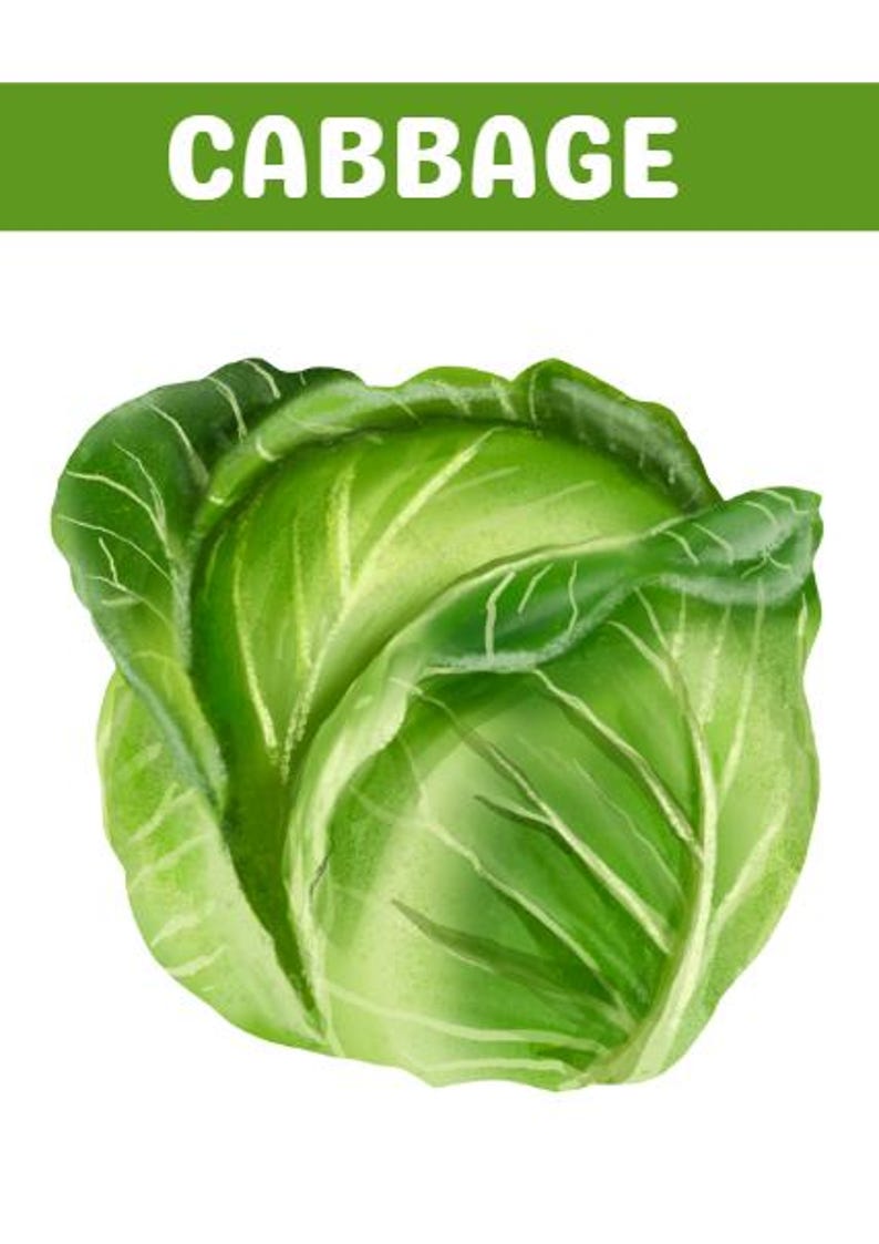 50 Vegetables Flashcards for Kids – Printable Vocabulary Cards for ...