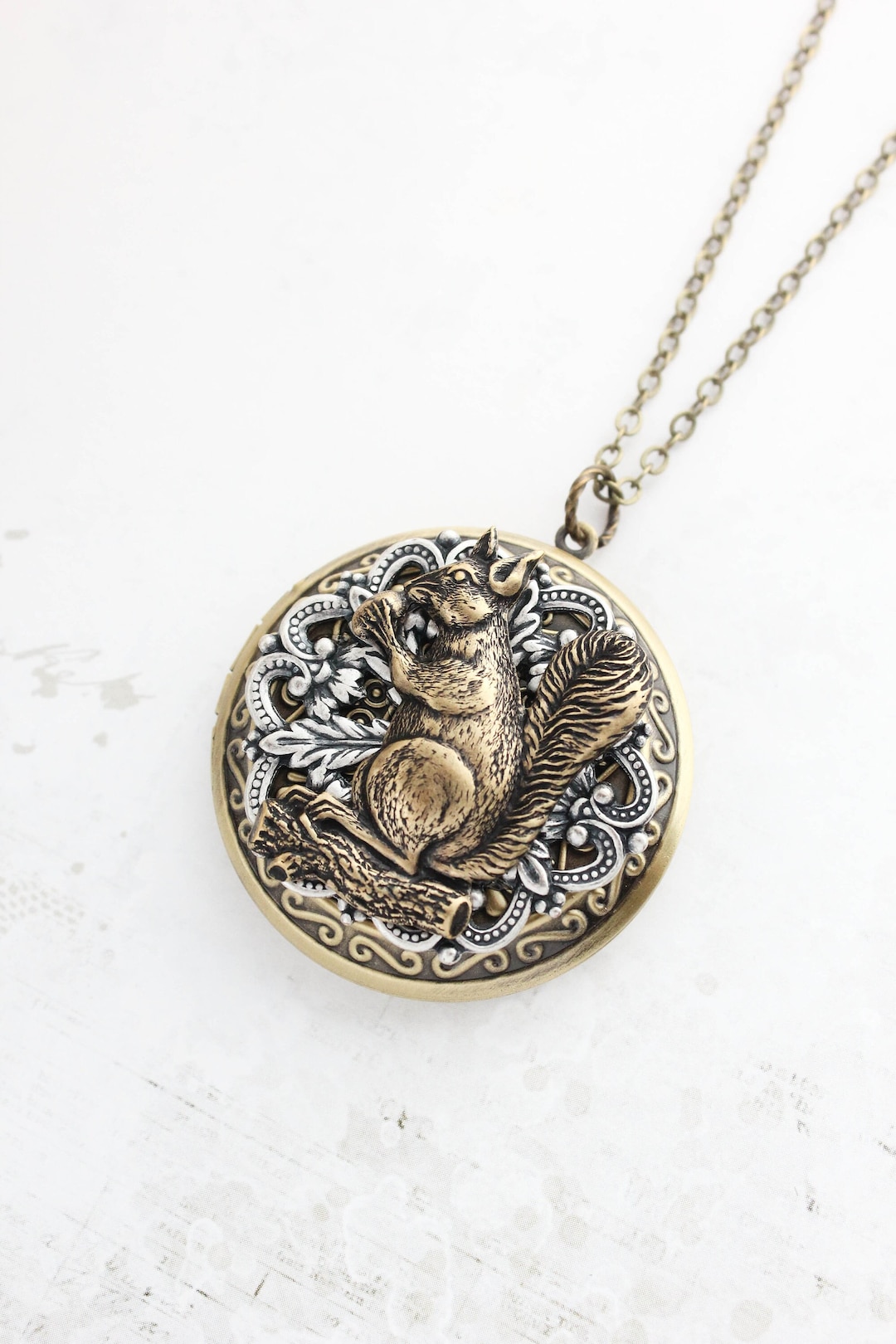 Squirrel Locket Necklace Big Photo Locket Forest Nature Creature Animal ...