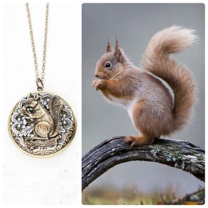 Squirrel Locket Necklace Big Photo Locket Forest Nature Creature Animal ...