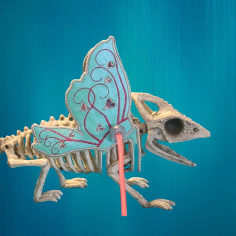 Dragon Accessories - Etsy