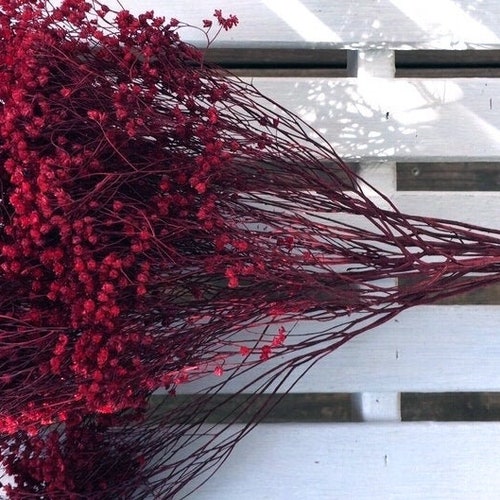 Bunch of Mini Dried Roses Naturally Dried Roses Crafts - Etsy