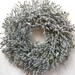Dried Flower WREATH Small German Statice White Green Dried Flower ...