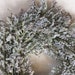 Dried Flower WREATH Small German Statice White Green Dried Flower ...
