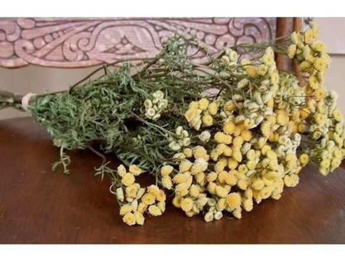 Fragrant DRIED Flowers TANSY Yellow Gold Country Wedding Farm - Etsy