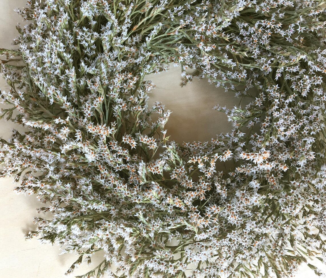 Dried Flower WREATH Small German Statice White Green Dried Flower ...