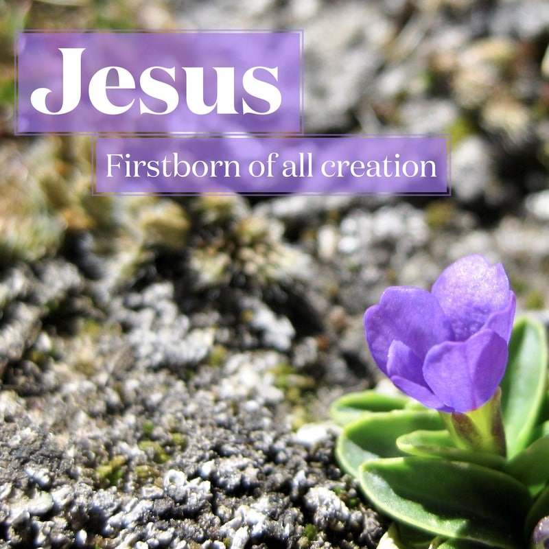 Purple Christian Wallpaper - Etsy