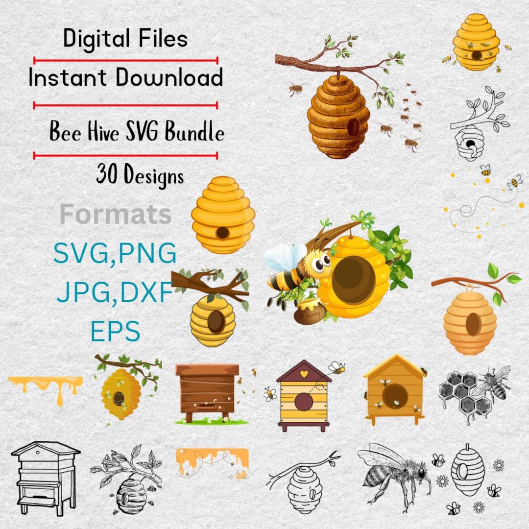 Bee Hive SVG Bundle: Honeycomb, Bees, Beekeeping Designs (digital ...