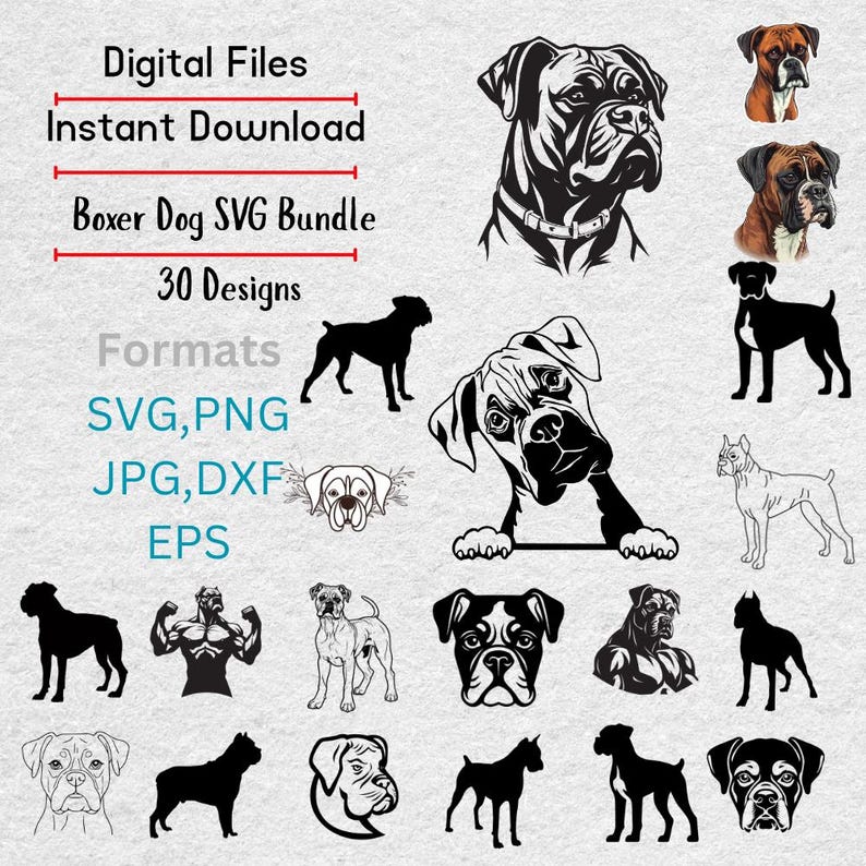 Boxer Dog SVG Bundle: 30 Craft Designs for Cricut & Silhouette (digital ...
