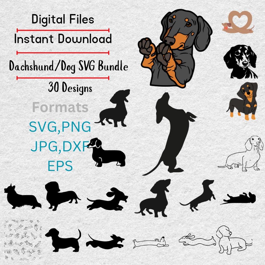 Dachshund SVG Bundle: 30 Doxie Designs for Cricut & Silhouette (digital ...