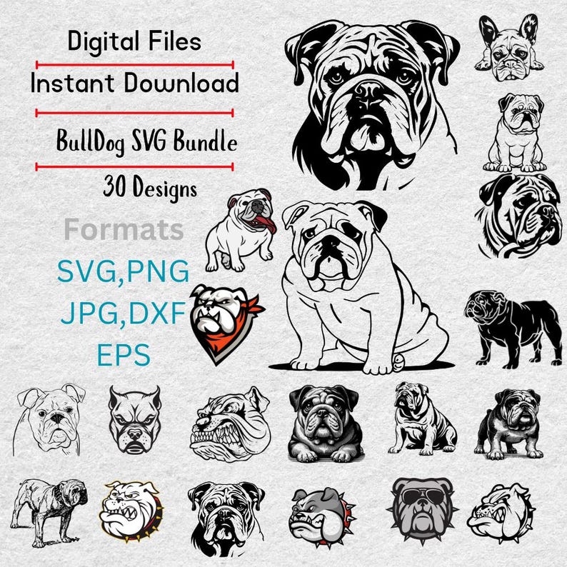 Bulldog SVG Bundle: English & French Bulldog Designs (digital Download ...