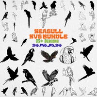Parakeet SVG Bundle, Parrot Clipart, Hand Drawn Tropical Bird Theme ...