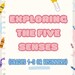 Exploring Five Senses - Etsy