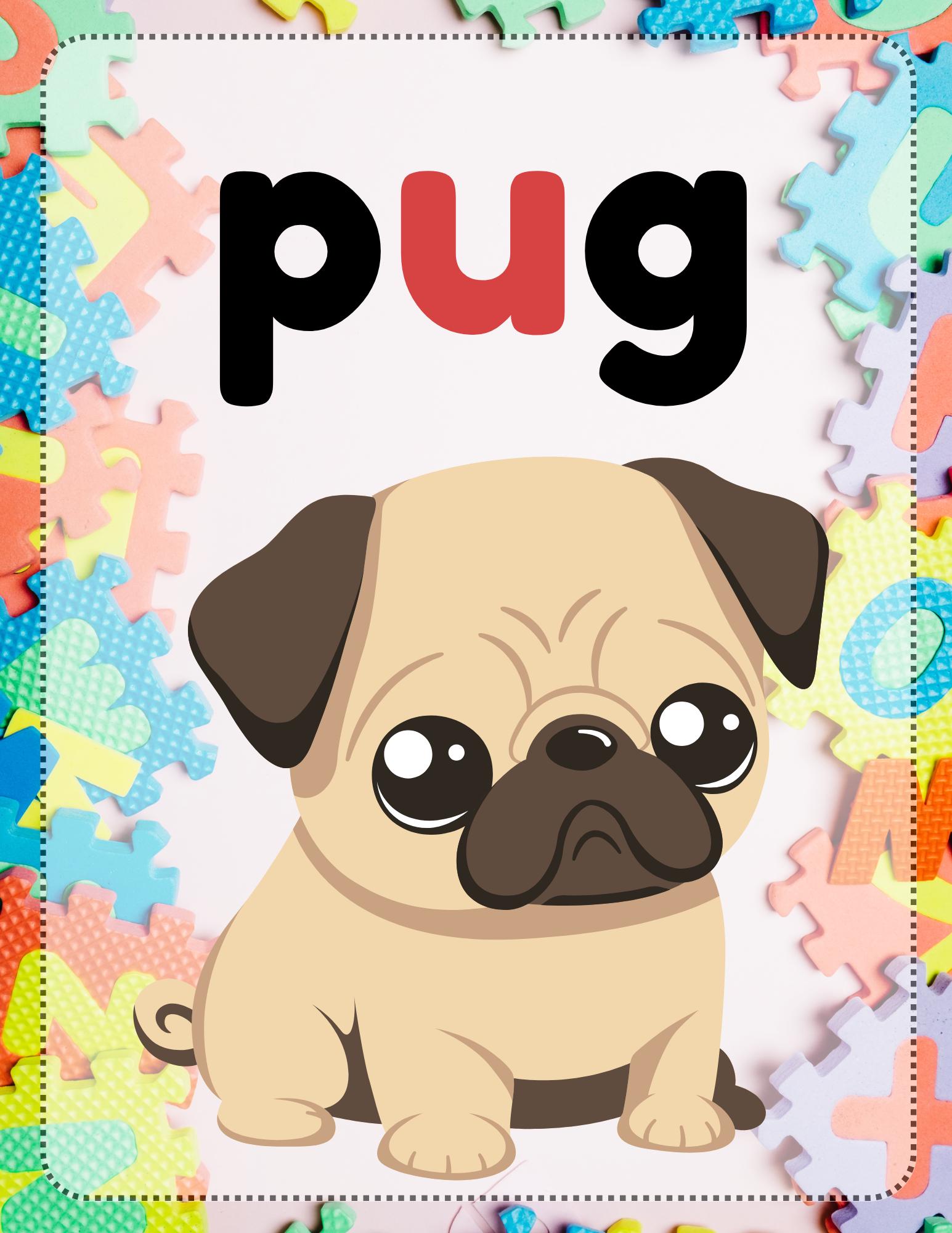 A4 Sizes Printable CVC Short U in Colorful Photos and Words - Etsy