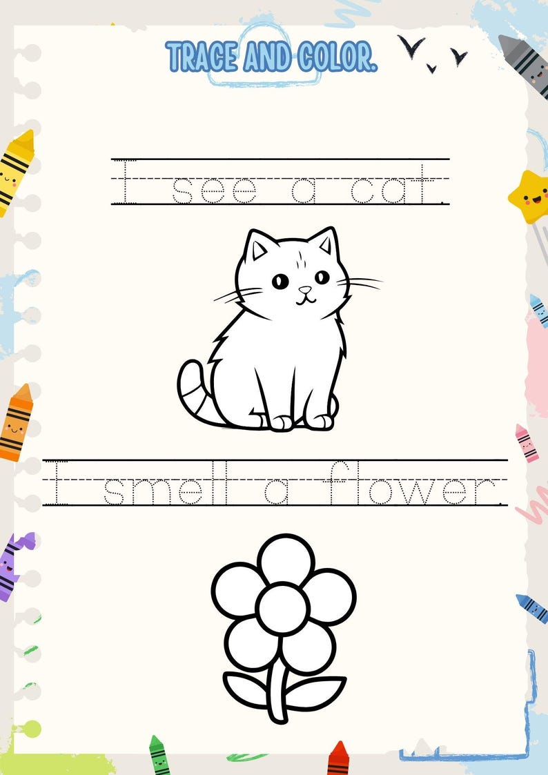 Exploring Five Senses - Etsy