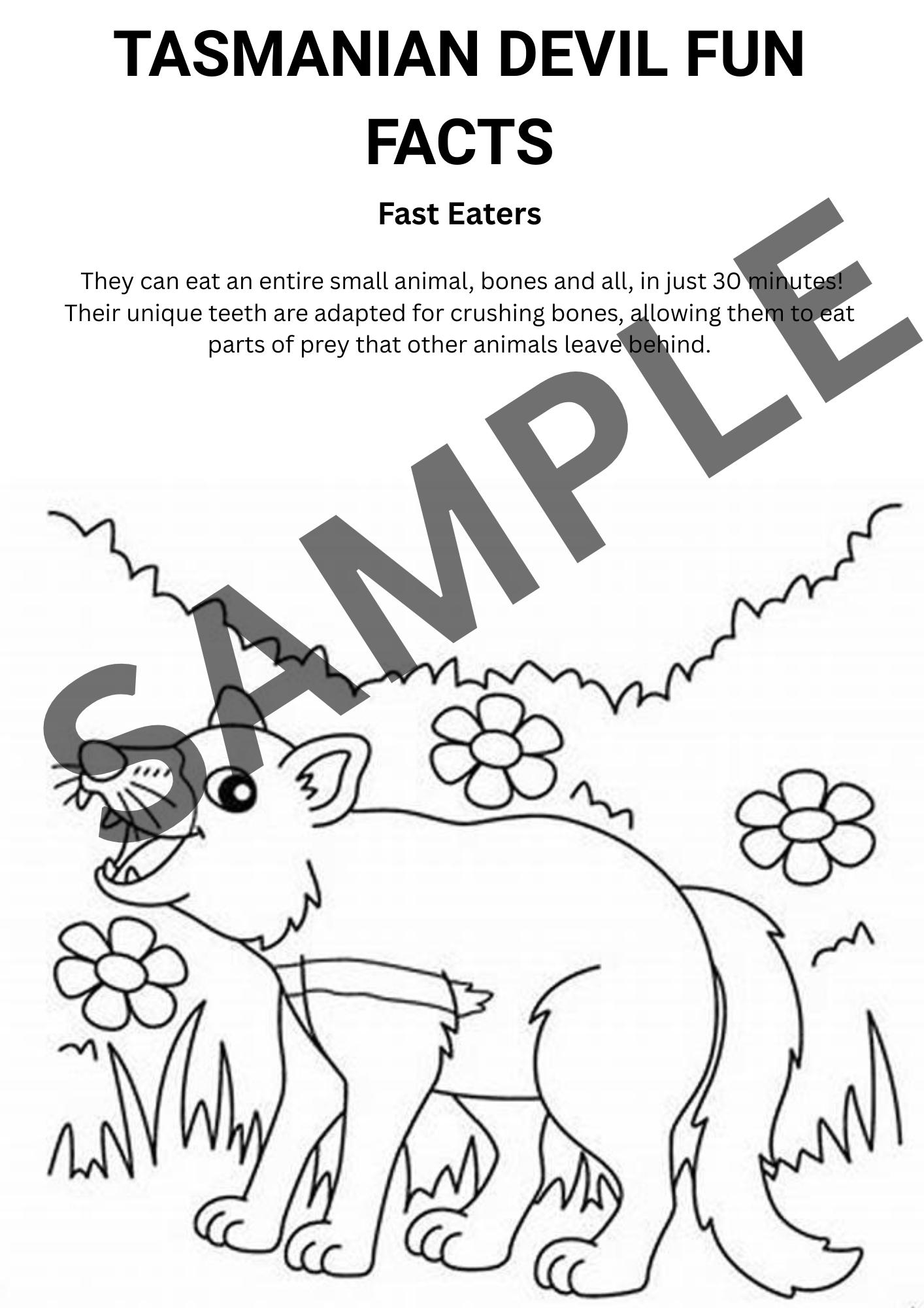 Australian Animals Activity Pack With Fun Facts | Kids Colouring Pages ...