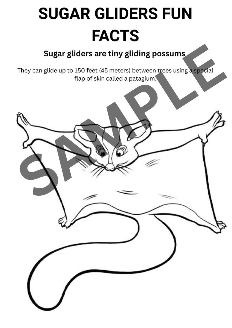Australian Animals Activity Pack With Fun Facts | Kids Colouring Pages ...