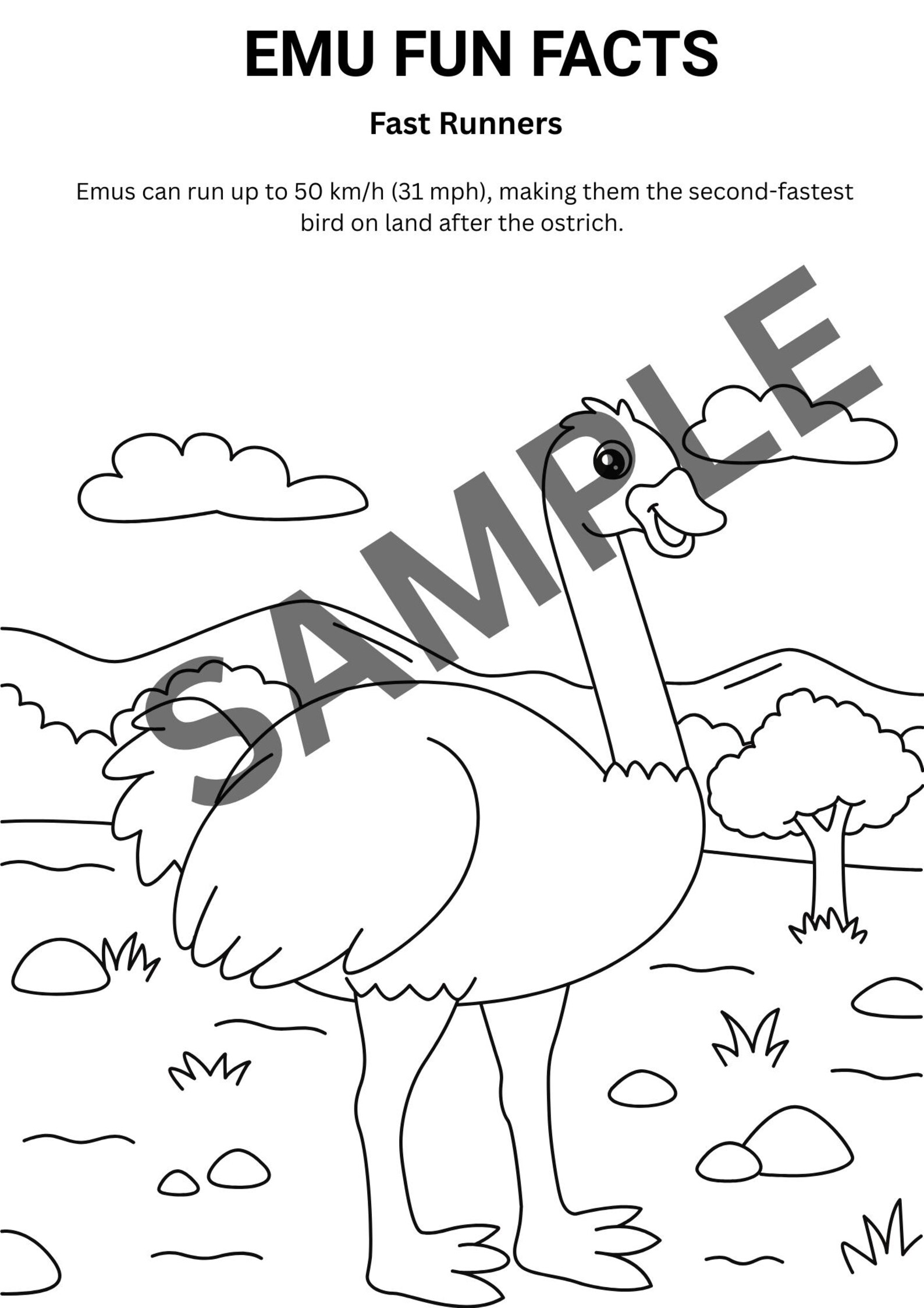 Australian Animals Activity Pack With Fun Facts | Kids Colouring Pages ...