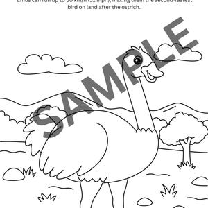 Australian Animals Activity Pack With Fun Facts | Kids Colouring Pages ...