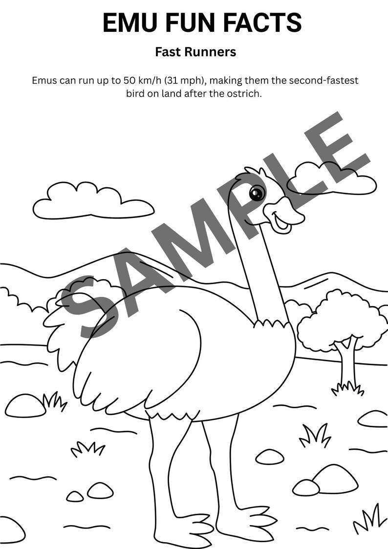 Australian Animals Activity Pack With Fun Facts | Kids Colouring Pages ...