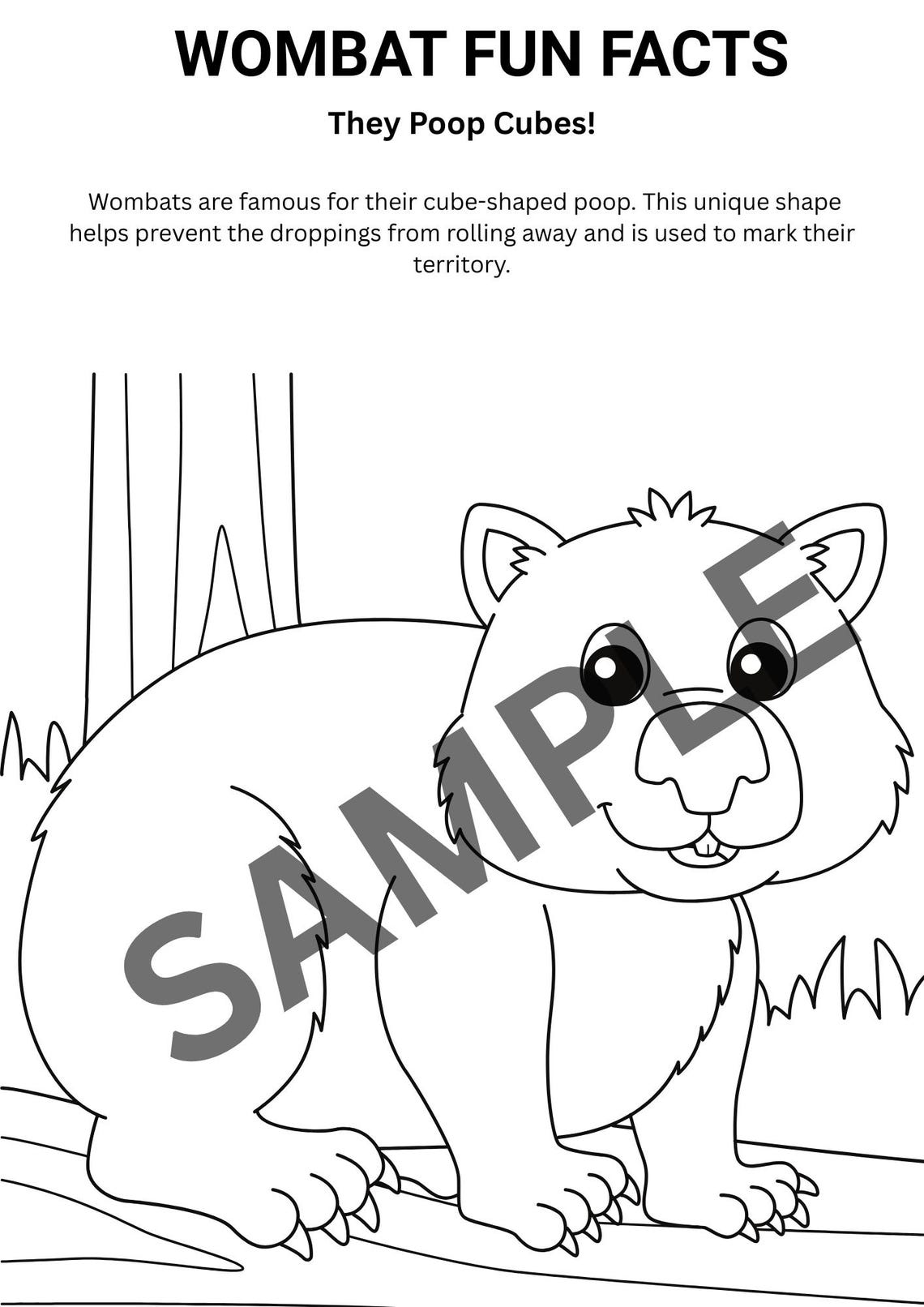 Australian Animals Activity Pack With Fun Facts | Kids Colouring Pages ...