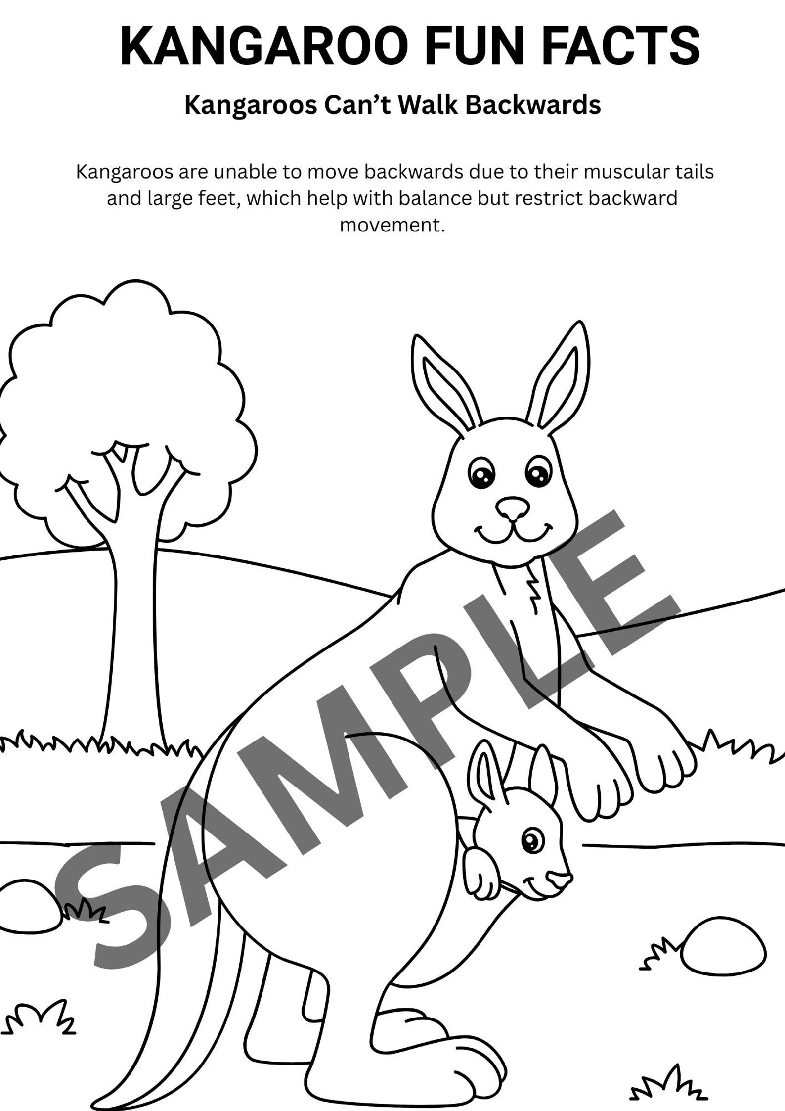 Australian Animals Activity Pack With Fun Facts | Kids Colouring Pages ...