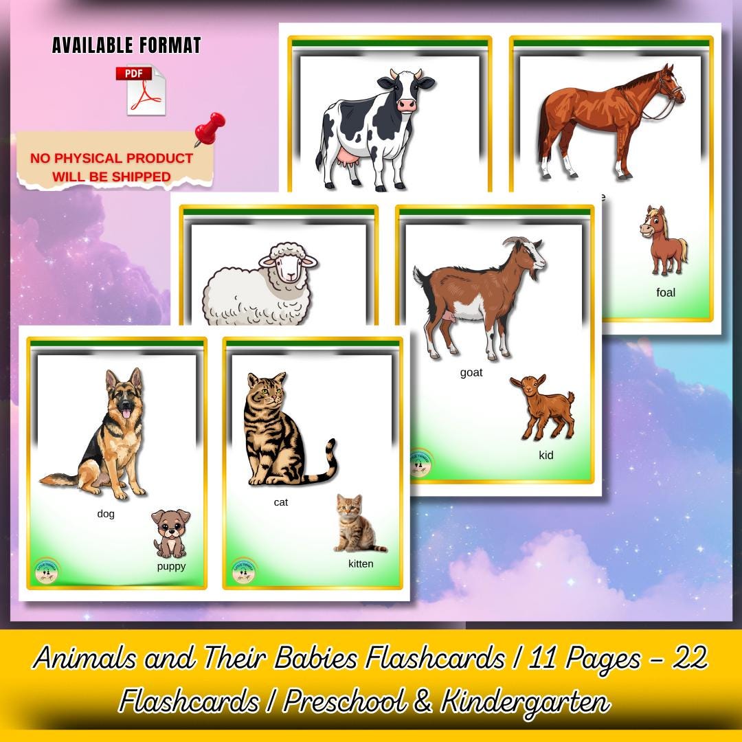Animals and Their Babies Flashcards | Preschool & Kindergarten - Etsy ...