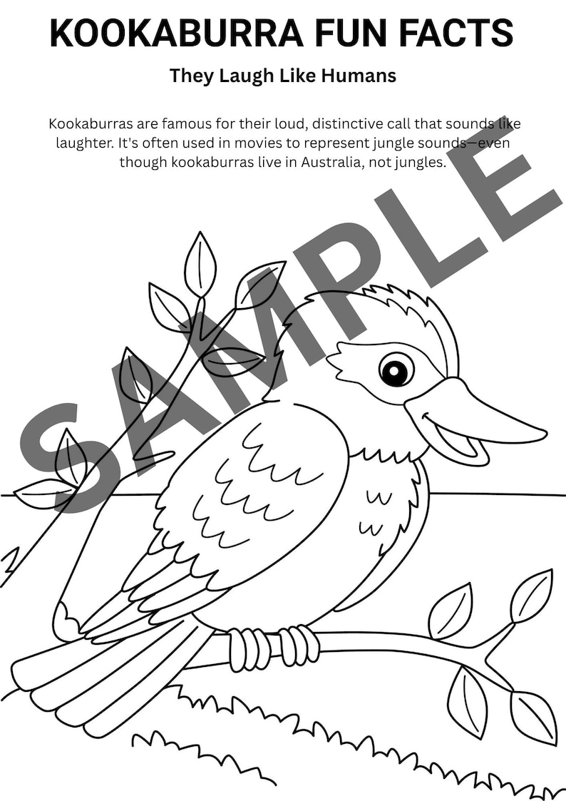 Australian Animals Activity Pack With Fun Facts | Kids Colouring Pages ...
