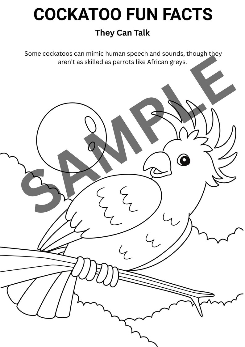 Australian Animals Activity Pack With Fun Facts | Kids Colouring Pages ...