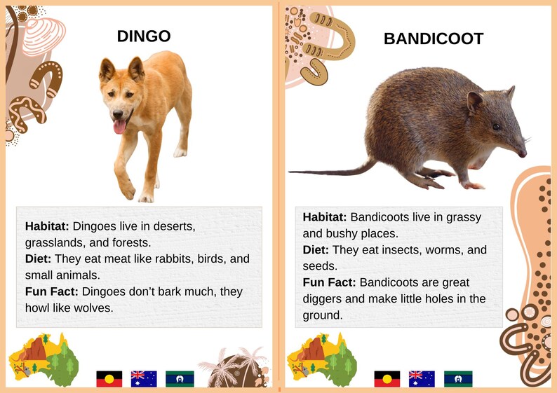 Australian Animal Flashcards | Educational Flashcards for Kids ...