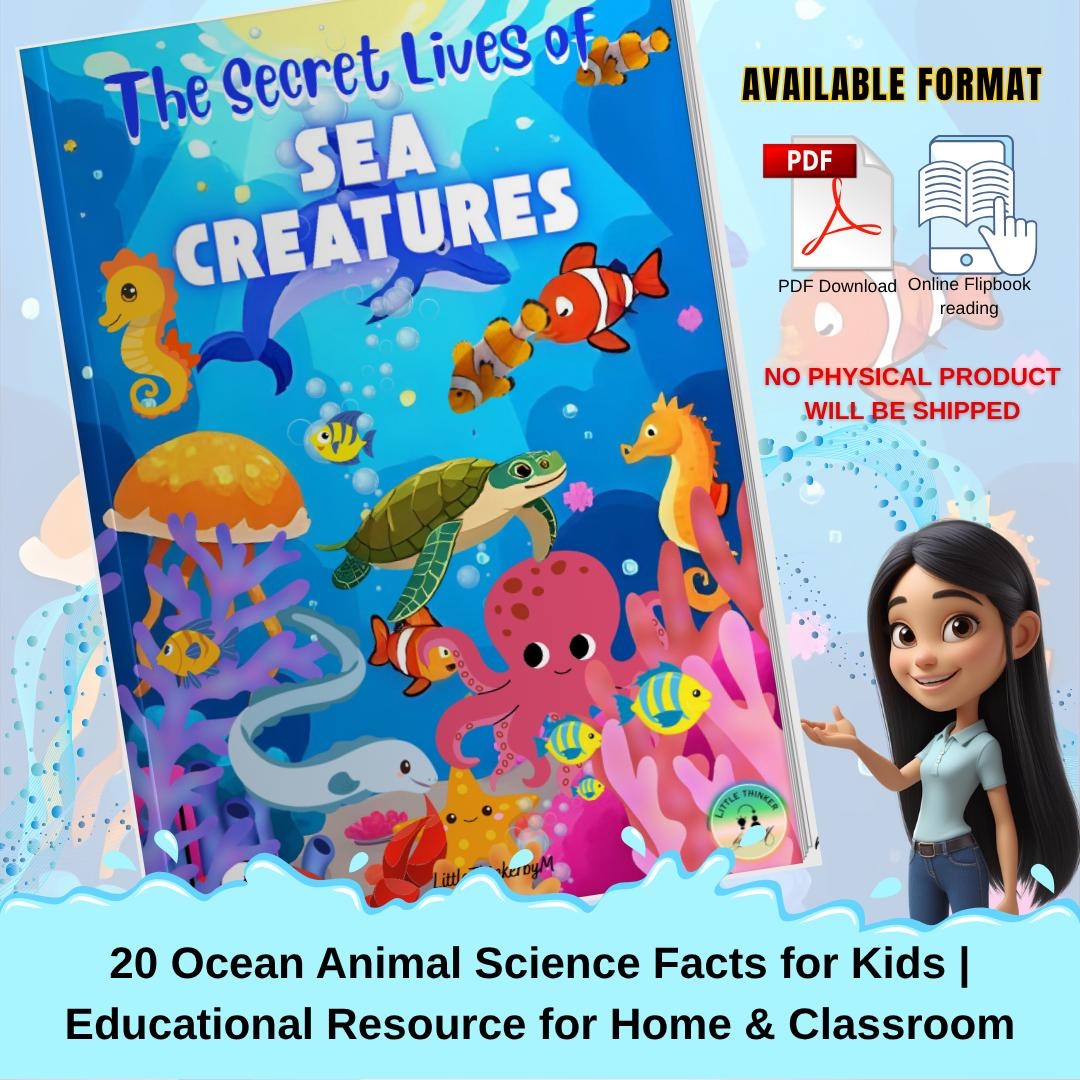 Under the Sea Animal Science Facts | Sea Creature Learning Resource ...
