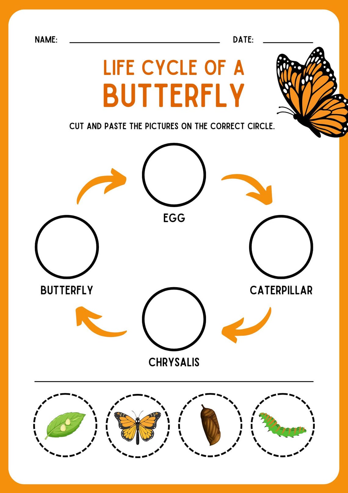7 Life Cycle Charts + FREE Worksheets - Etsy Australia