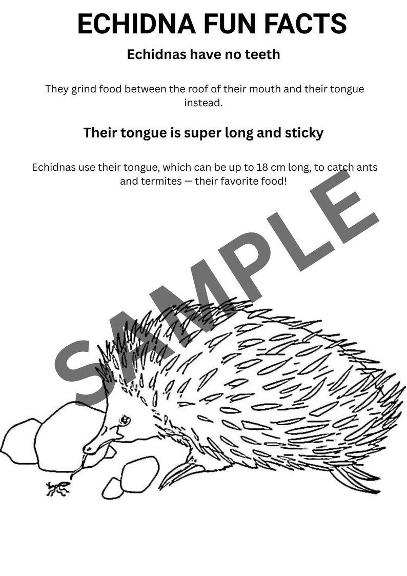 Australian Animals Activity Pack With Fun Facts | Kids Colouring Pages ...