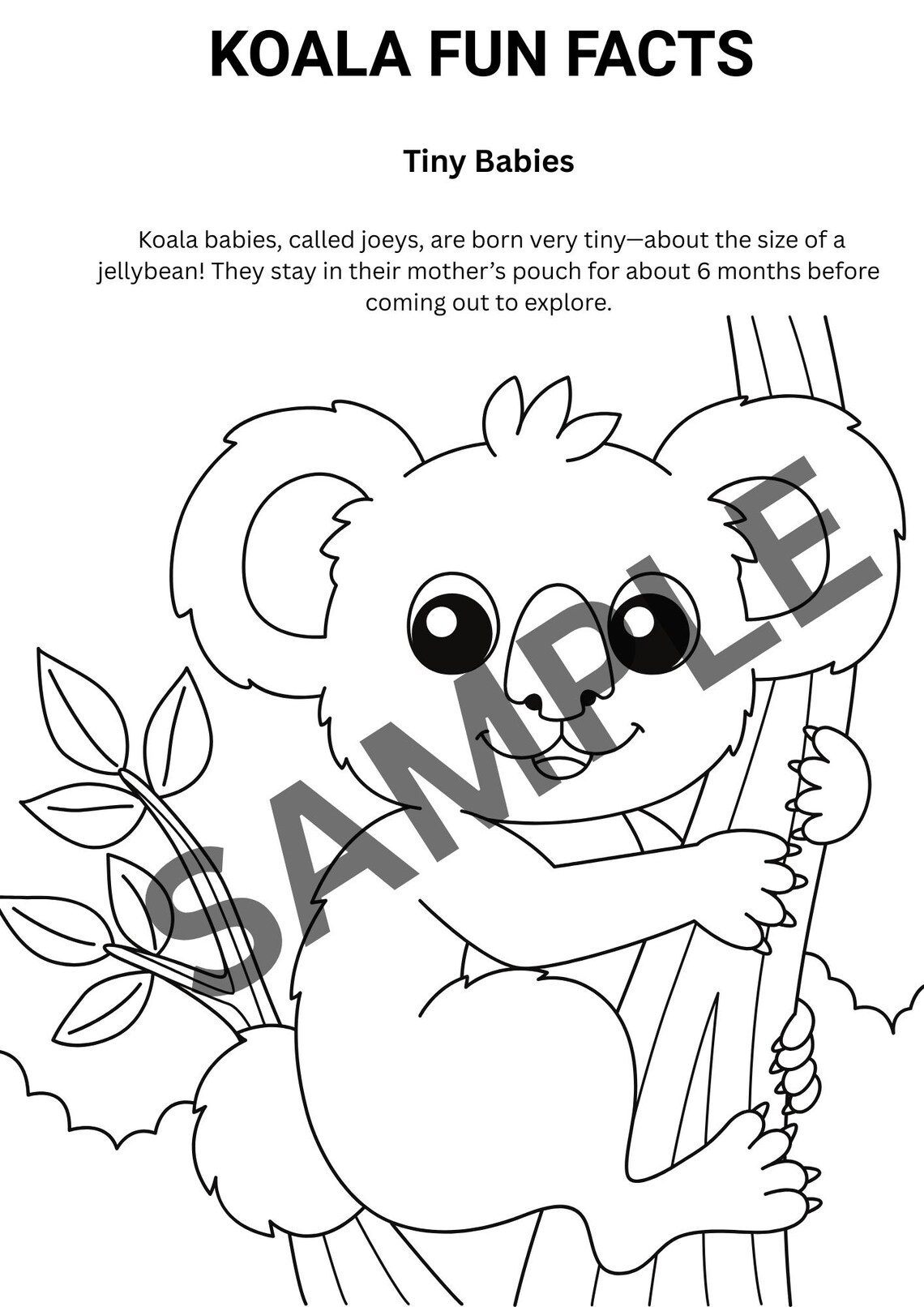 Australian Animals Activity Pack With Fun Facts | Kids Colouring Pages ...