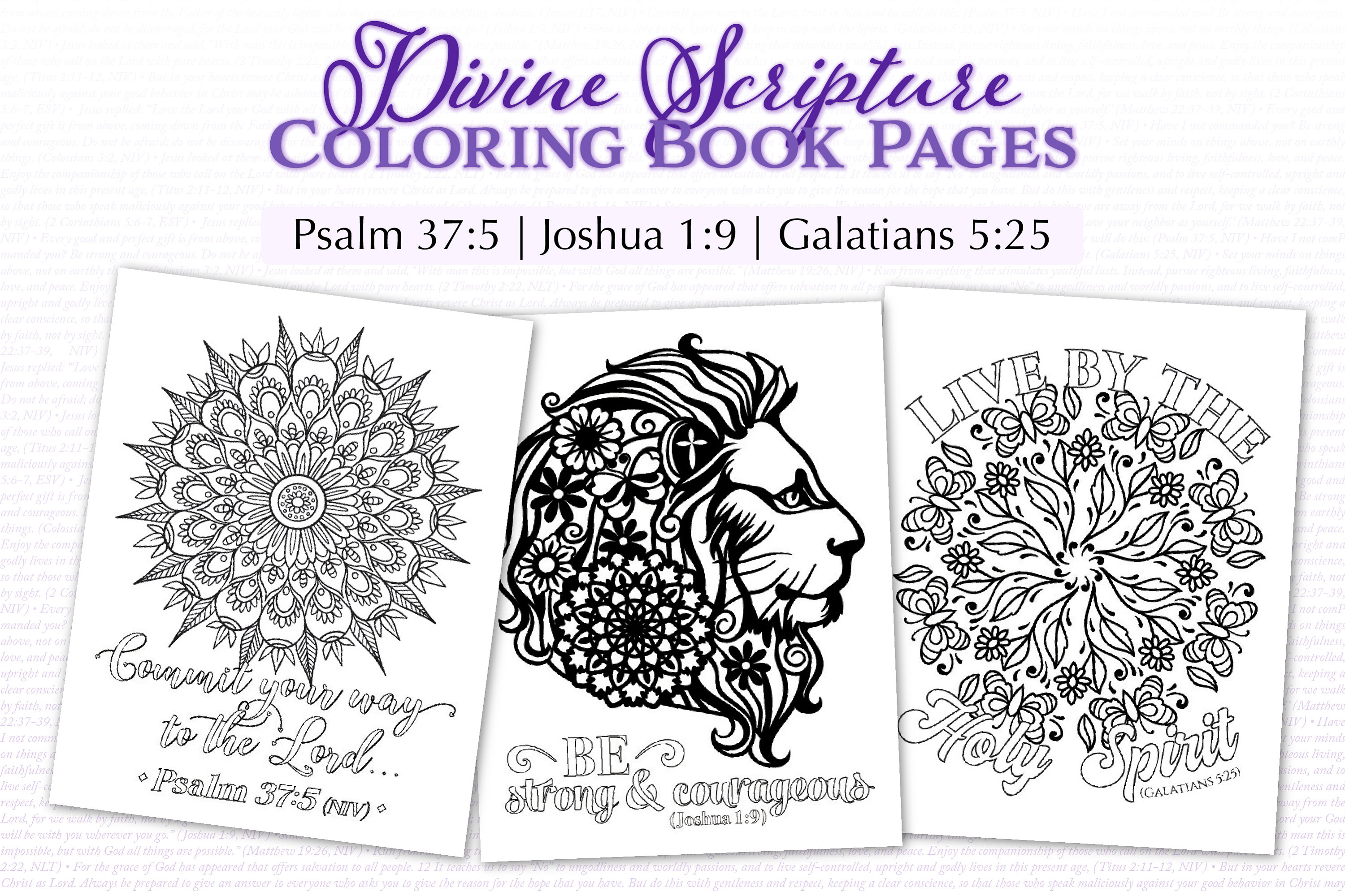 Divine Scripture Coloring Book ~ 12 Bible Verse Coloring Pages for ...