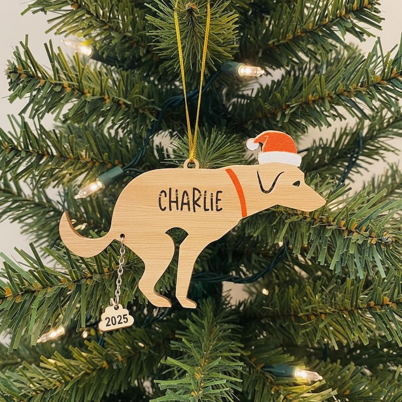 Poop Ornament Customized - Etsy