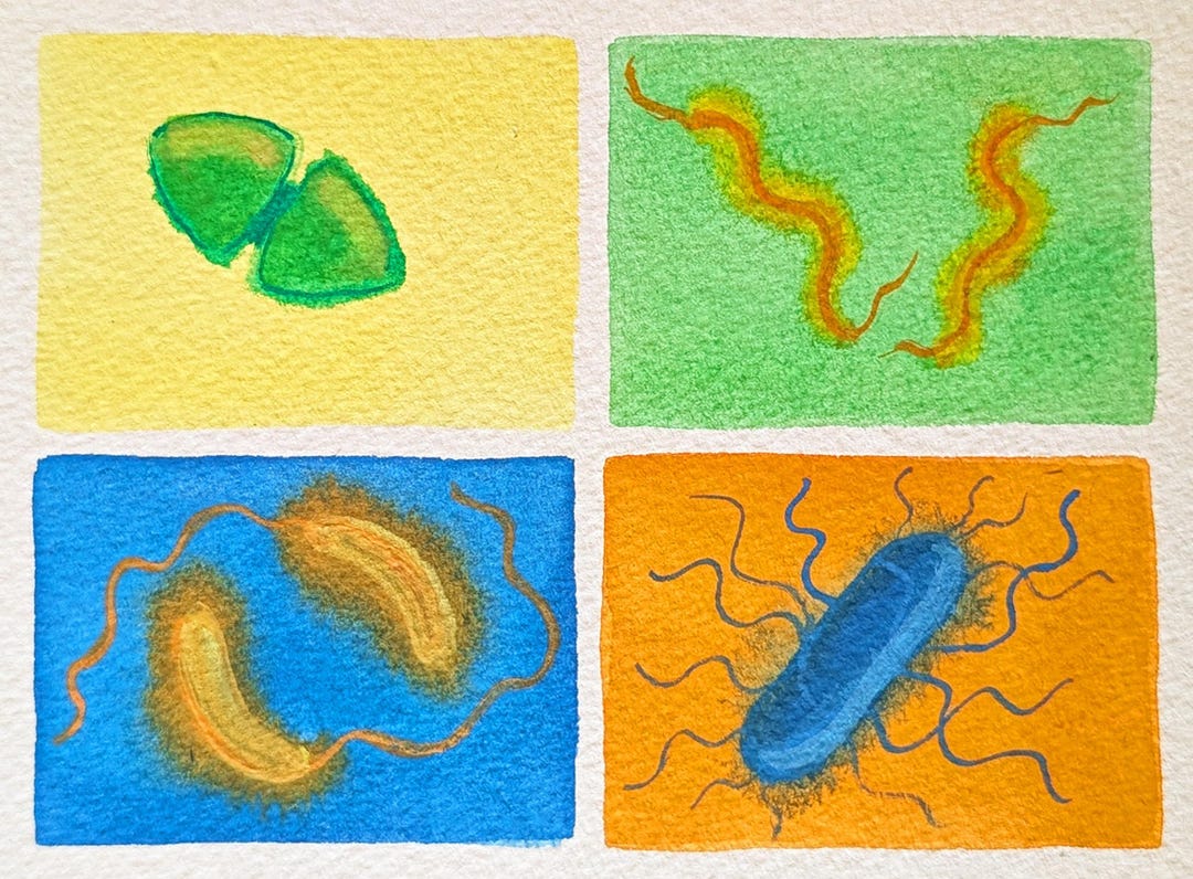 Colorful Bacteria - Original Watercolor Painting - Microbiology Art - Etsy
