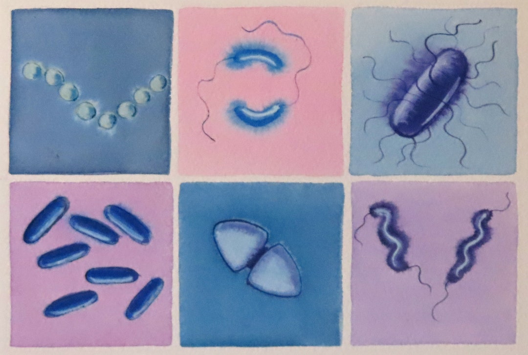 Bacteria in Pink and Blue Original Watercolor Painting Microbiology Art ...