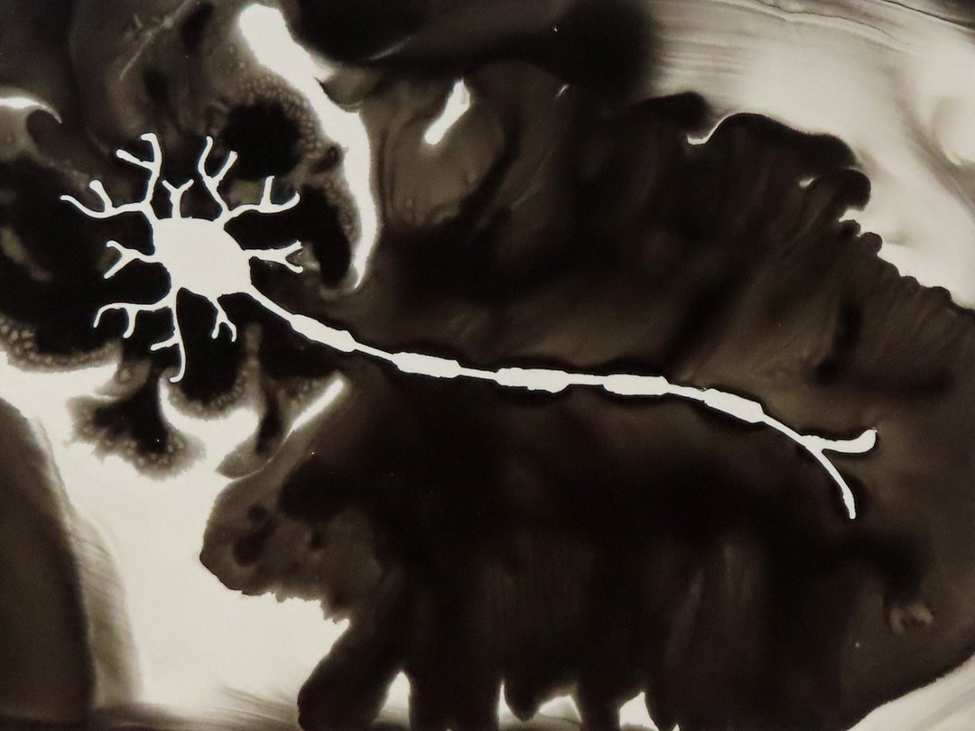 Black Motor Neuron Original Ink Painting of Brain Cell Neuroscience Art ...