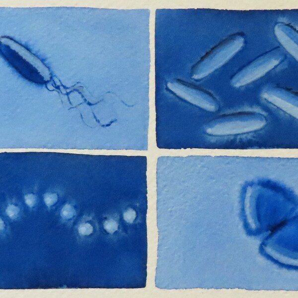 Bacteria Art - Etsy