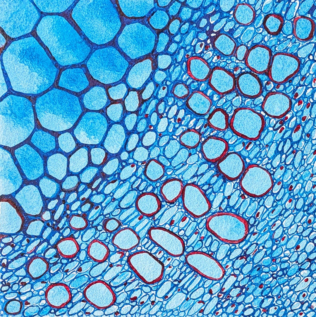 Xylem Vessel 2 - Original Watercolor Painting on Panel - Biology Art - Etsy