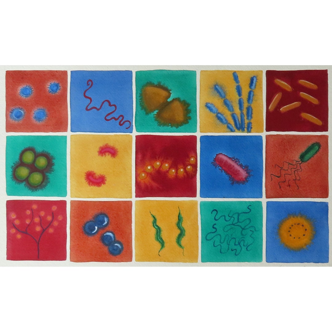 Microbial Riches 10 - Original Watercolor Painting of Bacteria ...