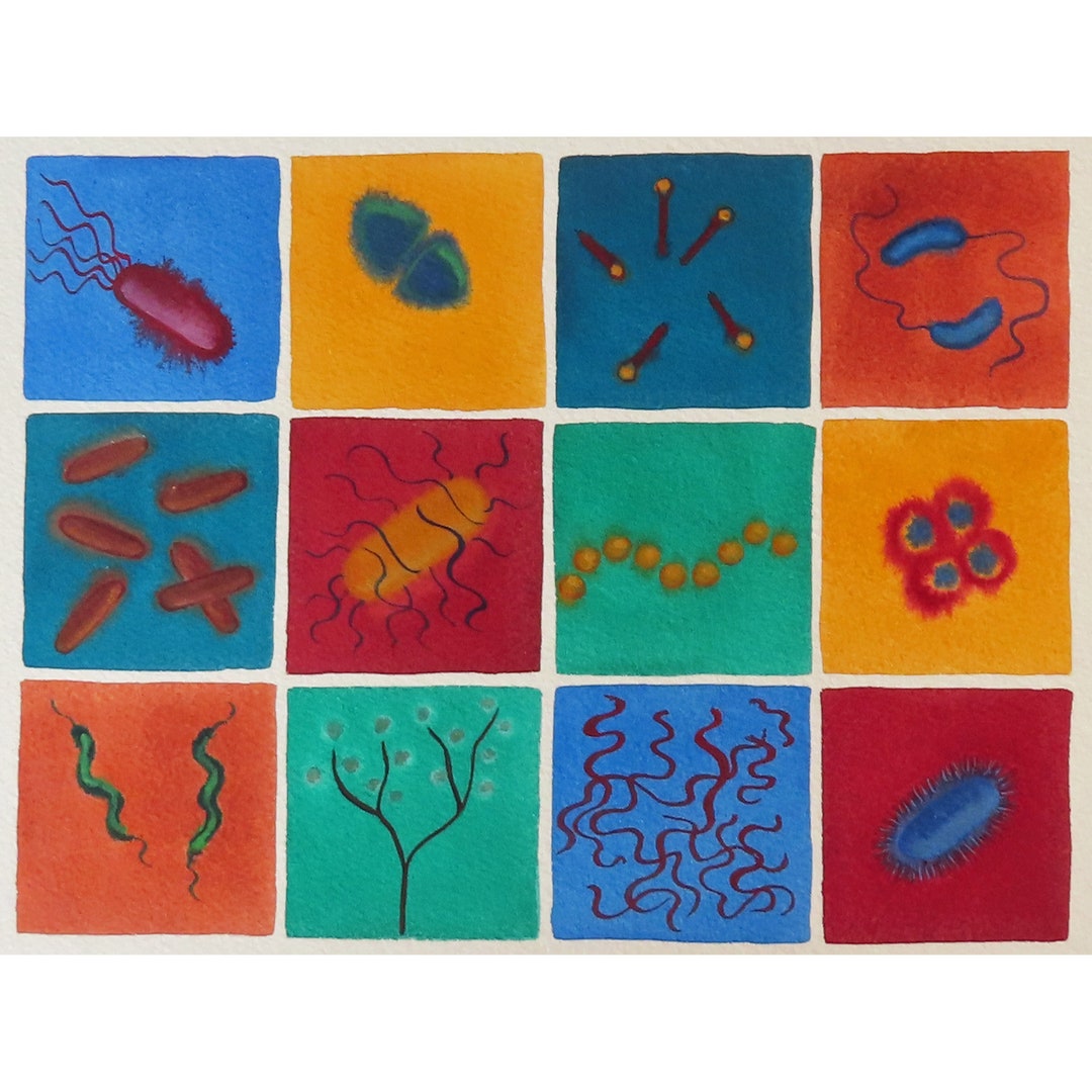 Microbial Riches 9 - Original Watercolor Painting of Bacteria ...