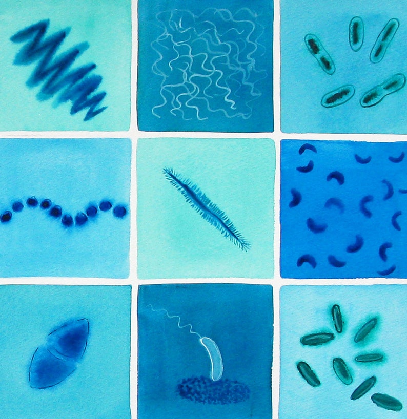 Microbial Fantasy Original Watercolor Painting of Bacteria - Etsy