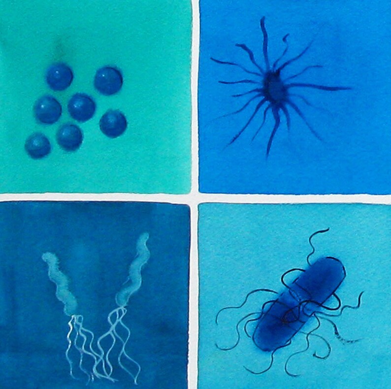 Microbial Fantasy original watercolor painting of bacteria | Etsy