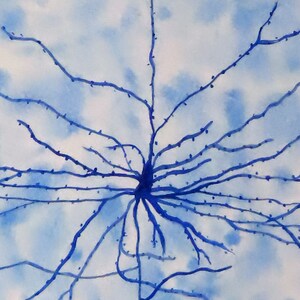 Pyramidal Cell After Cajal- Original Watercolor Painting of Neuron ...