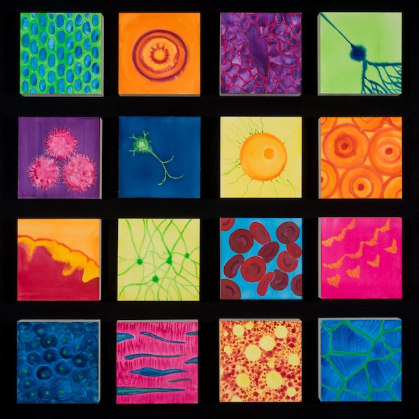 Human Cell Art - Etsy