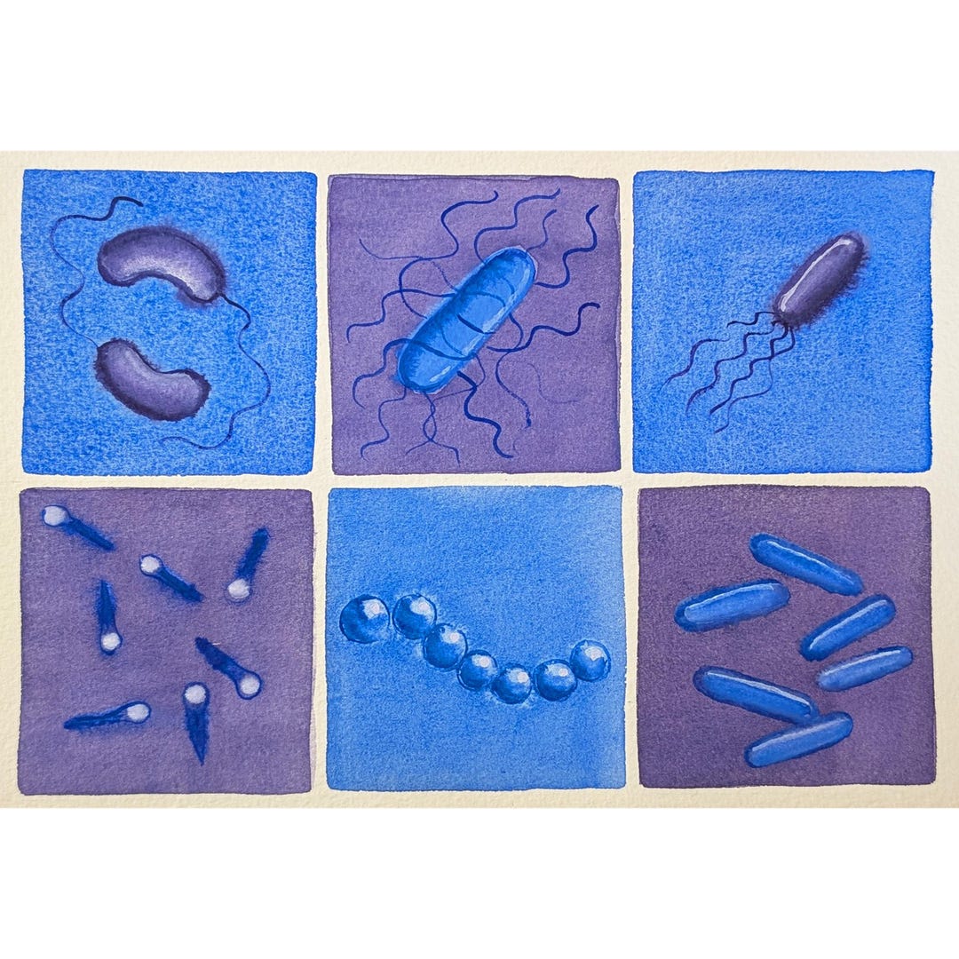 Bacteria in Purple and Blue - Original Watercolor Painting - Microbe ...