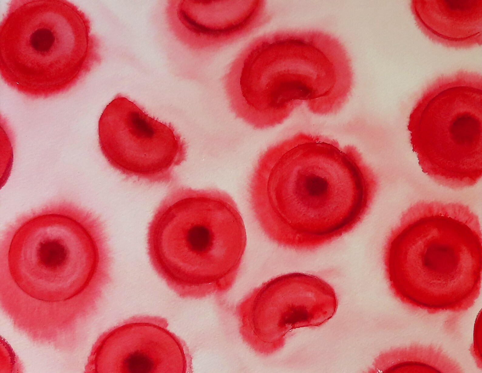 Red Blood Cells 3 Original Watercolor Painting of - Etsy UK