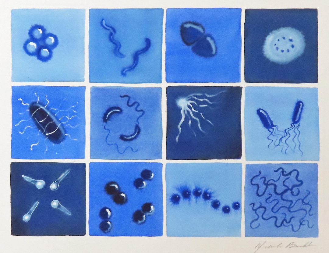 Blue Bacteria Original Watercolor Painting of Microbes Microbiology Art ...