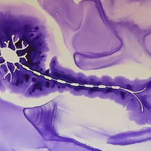 Motor Neuron in Purple - Original Ink Painting of Brain Cell ...
